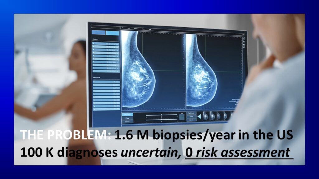 Technical Summary – Meta Mol