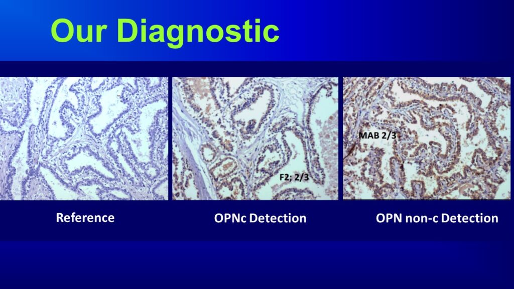 Technical Summary – Meta Mol