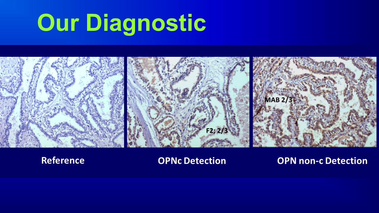 Technical Summary – Meta Mol