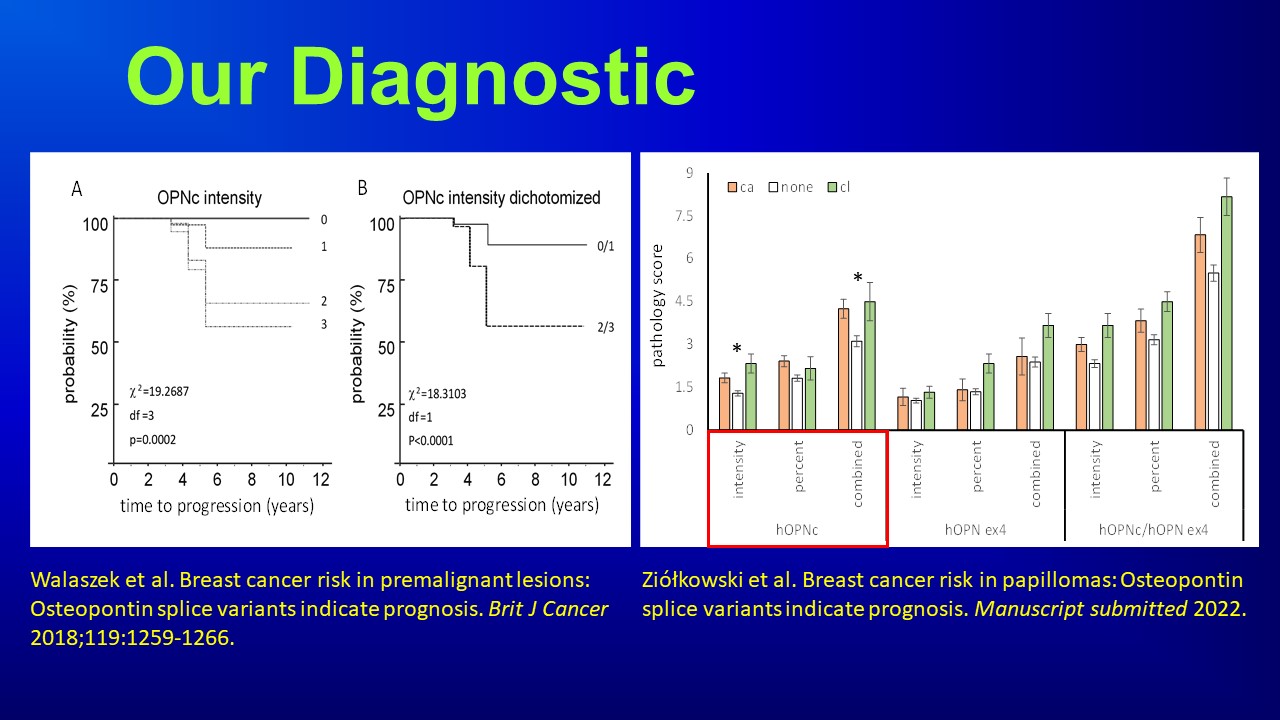Technical Summary – Meta Mol